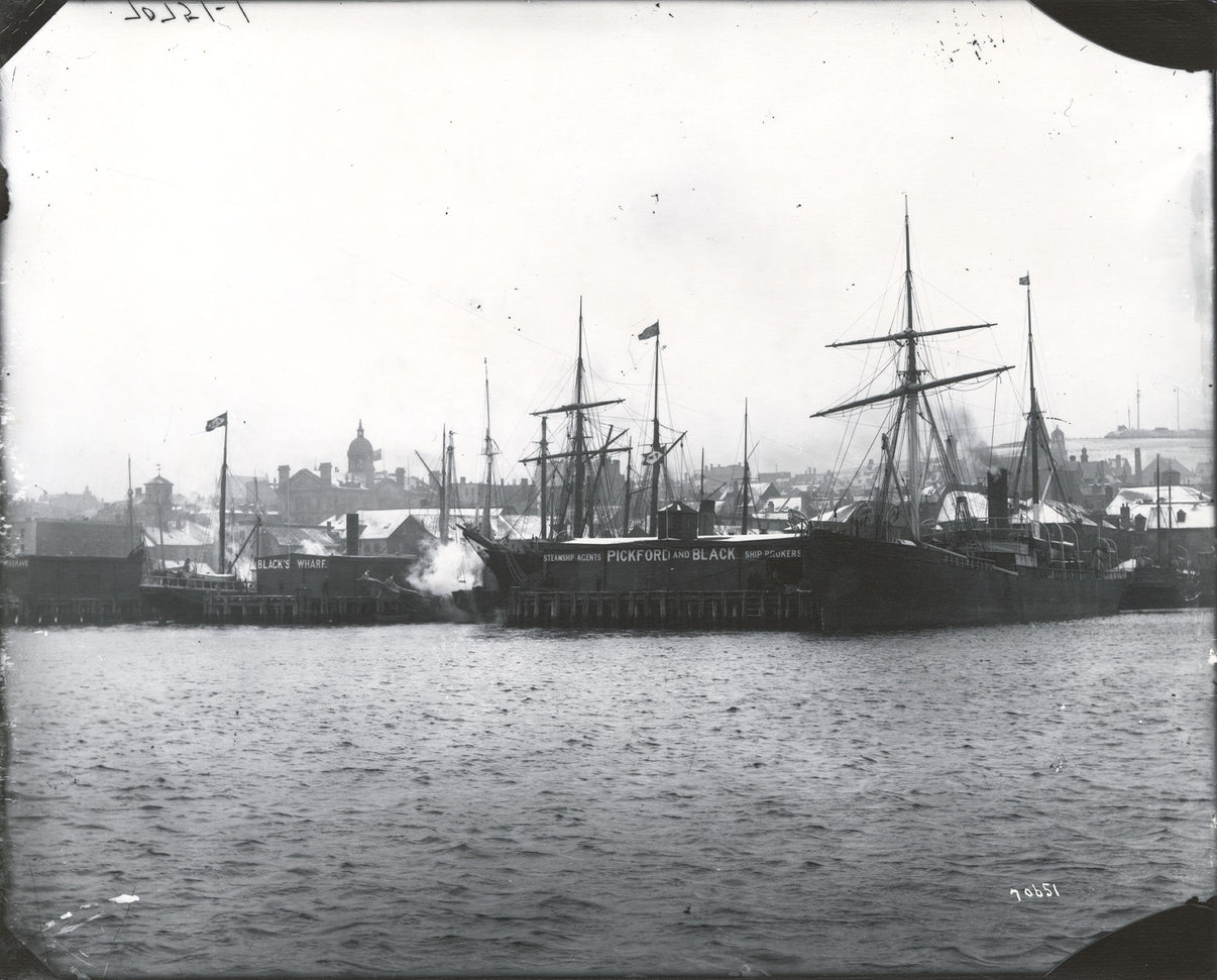 Halifax Waterfront showing Pickford & Black's wharf – Nova Scotia Archives